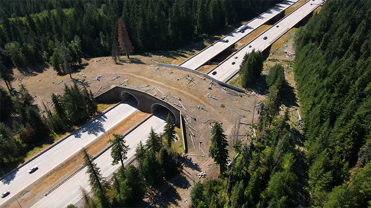 Dimension by HTML5 UP